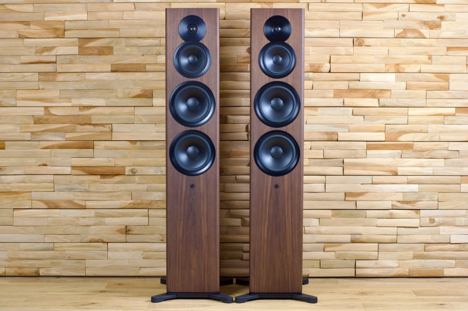 Dynaudio Focus 50 ex demonstration - Signals Hi-Fi